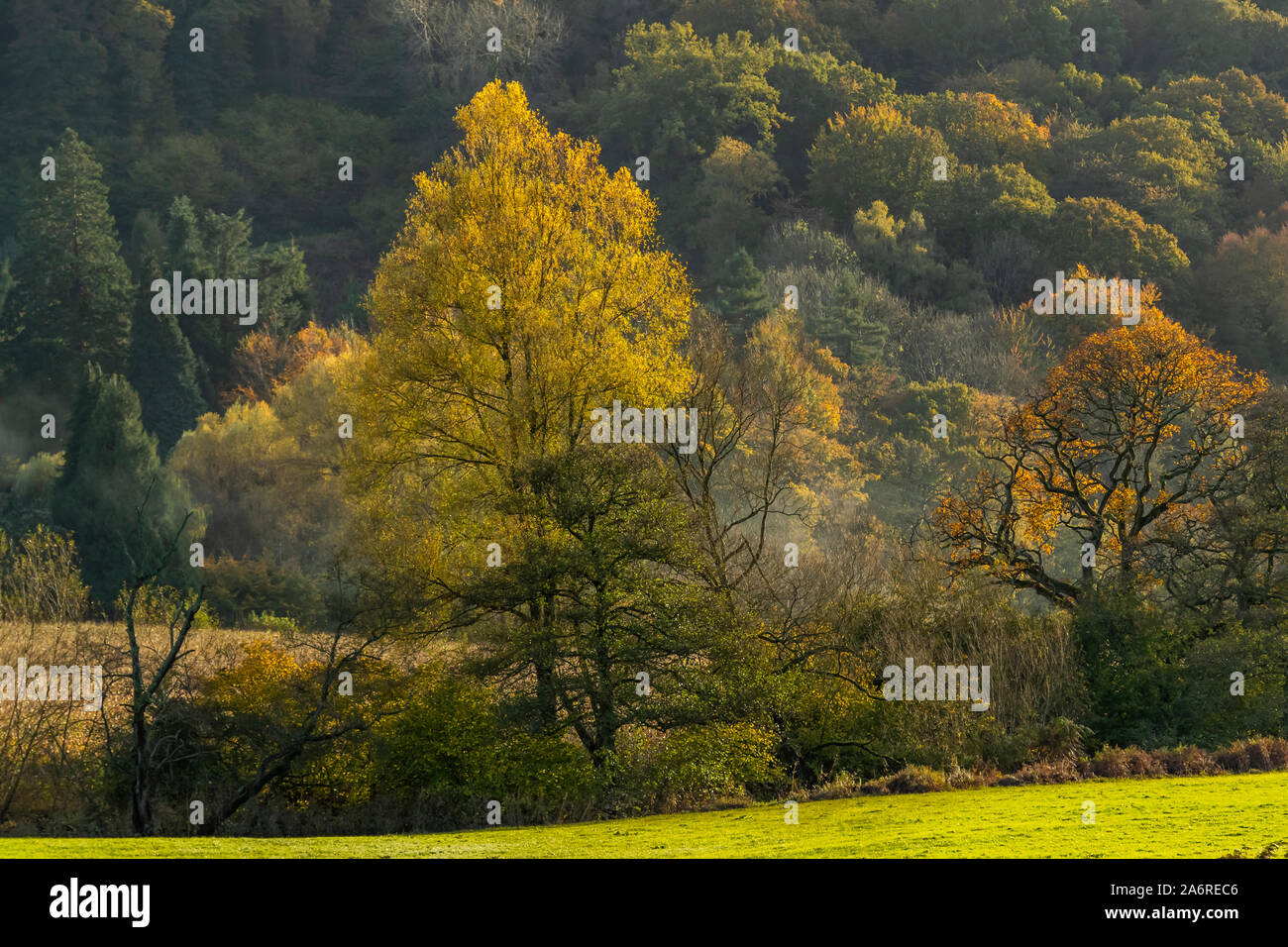 Autumn colours in the Wye Valley at Bigsweir Bridge. Wye Valley ...