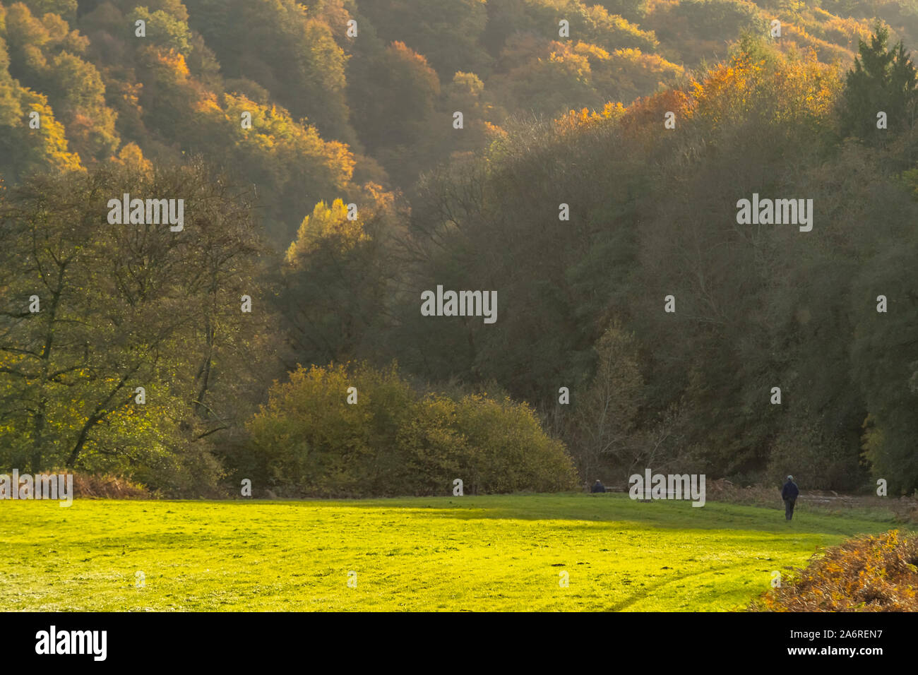 Autumn colours in the Wye Valley at Bigsweir Bridge. Wye Valley ...