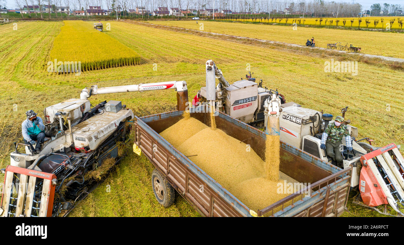 Machines harvesting rice field hi-res stock photography and images - Alamy