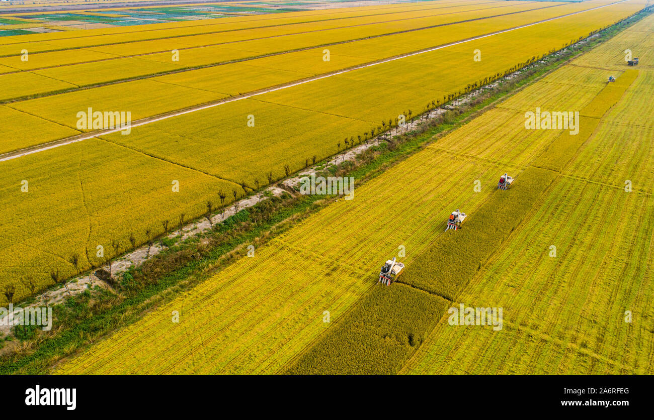 Machines harvesting rice field hi-res stock photography and images - Alamy