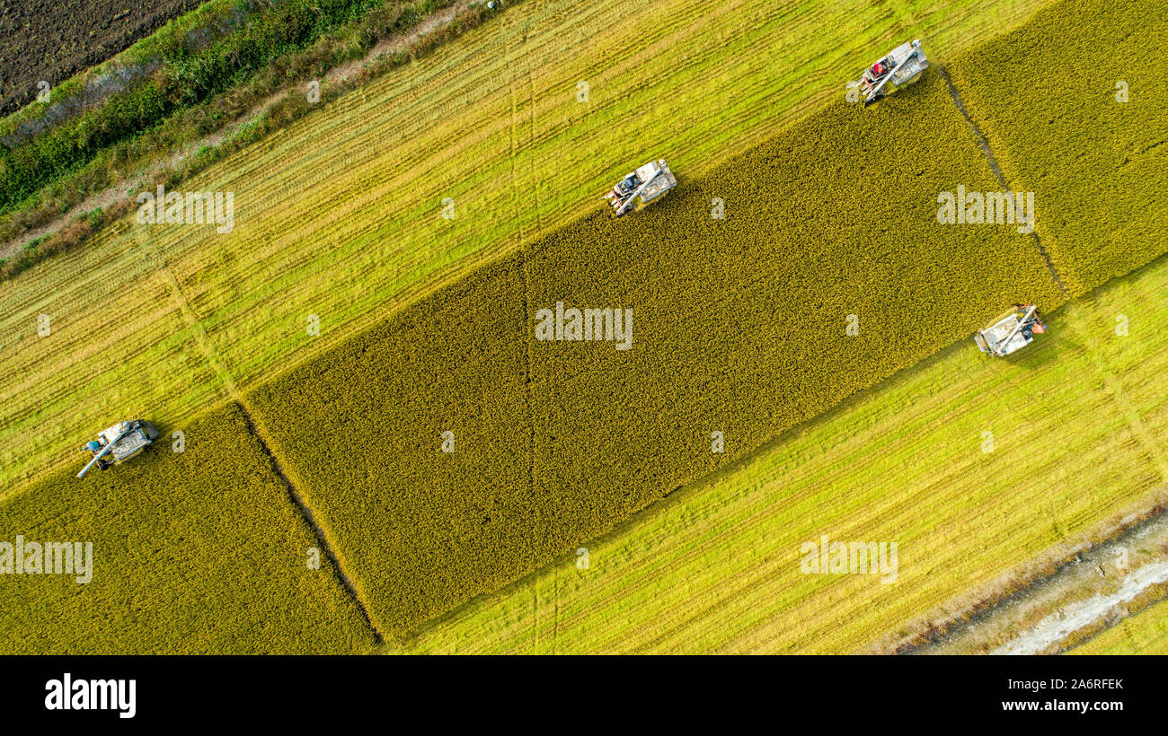 Machines harvesting rice field hi-res stock photography and images - Alamy