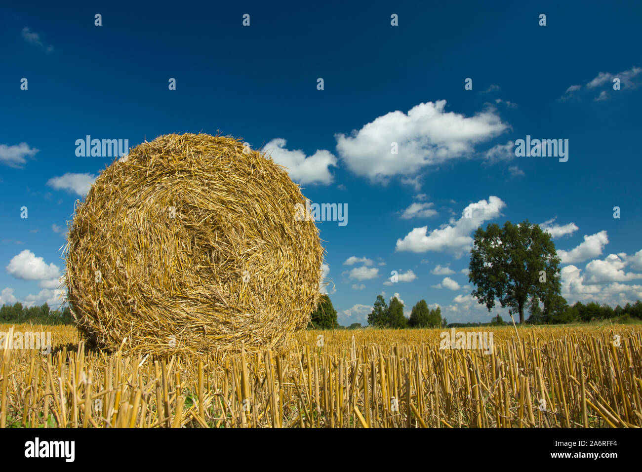 Round Hay Bale