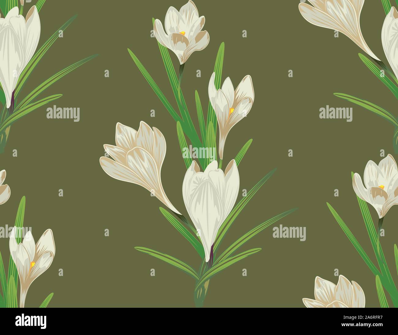 White saffron Stock Vector Images - Alamy