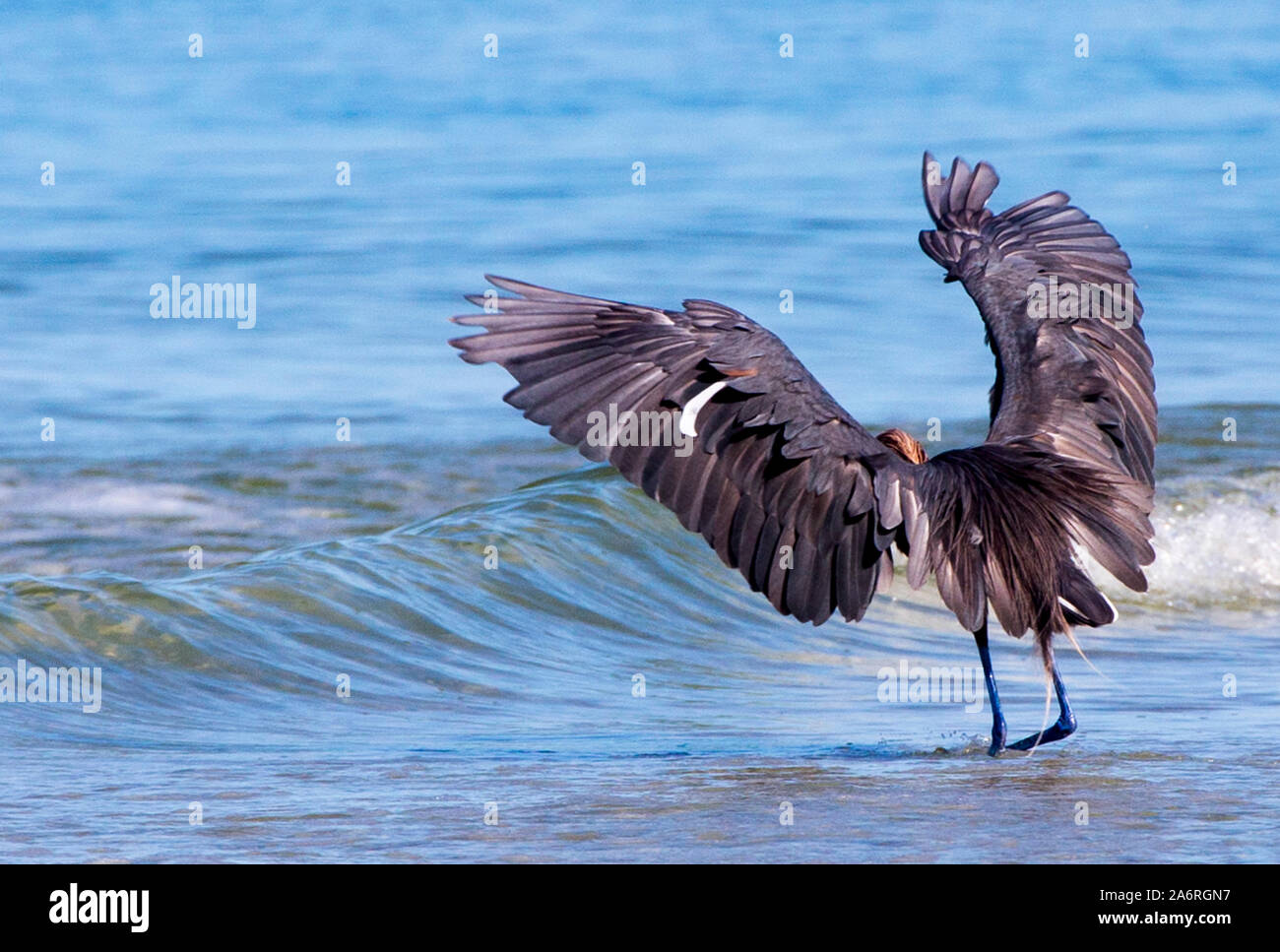 Lifting with the tide hi-res stock photography and images - Alamy