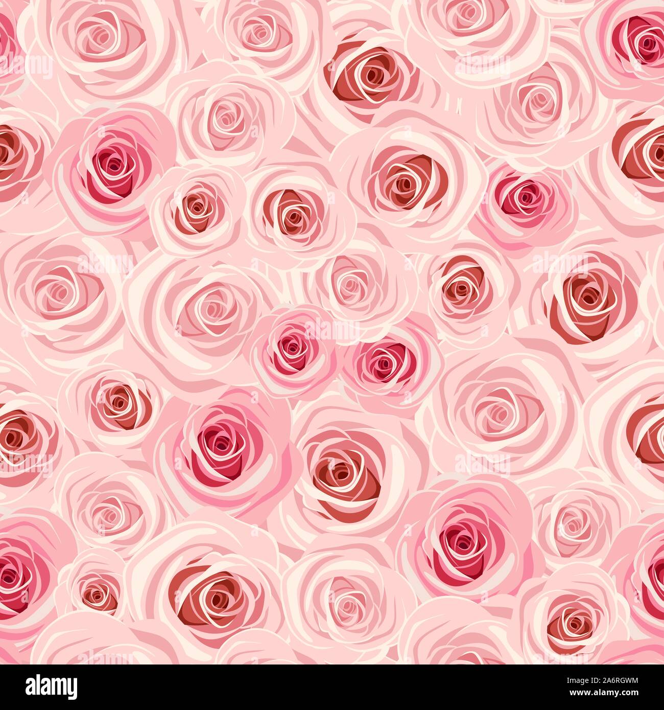 Vector seamless background with pink roses Stock Vector Image & Art - Alamy