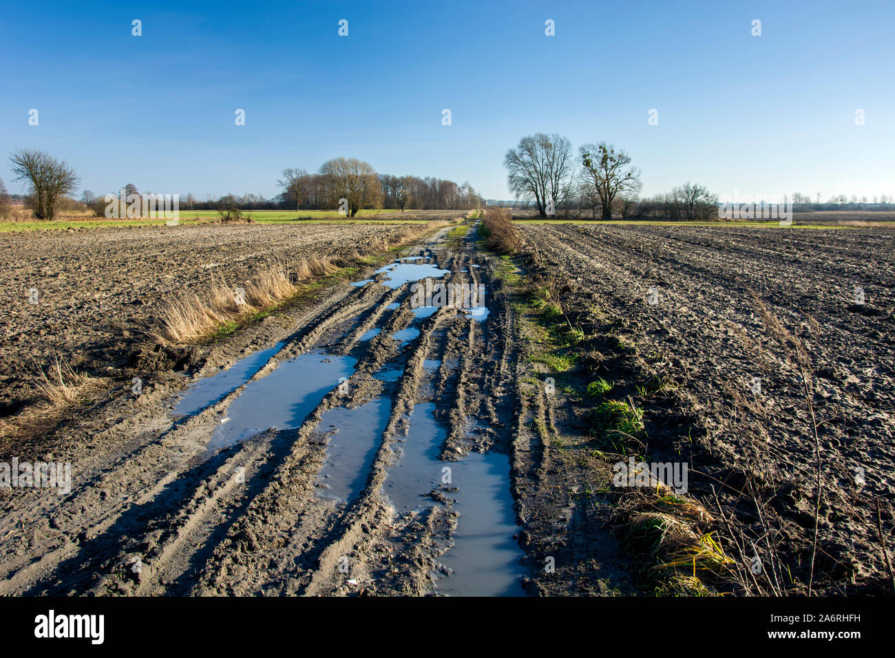 Dirty muddy brown hi-res stock photography and images - Alamy