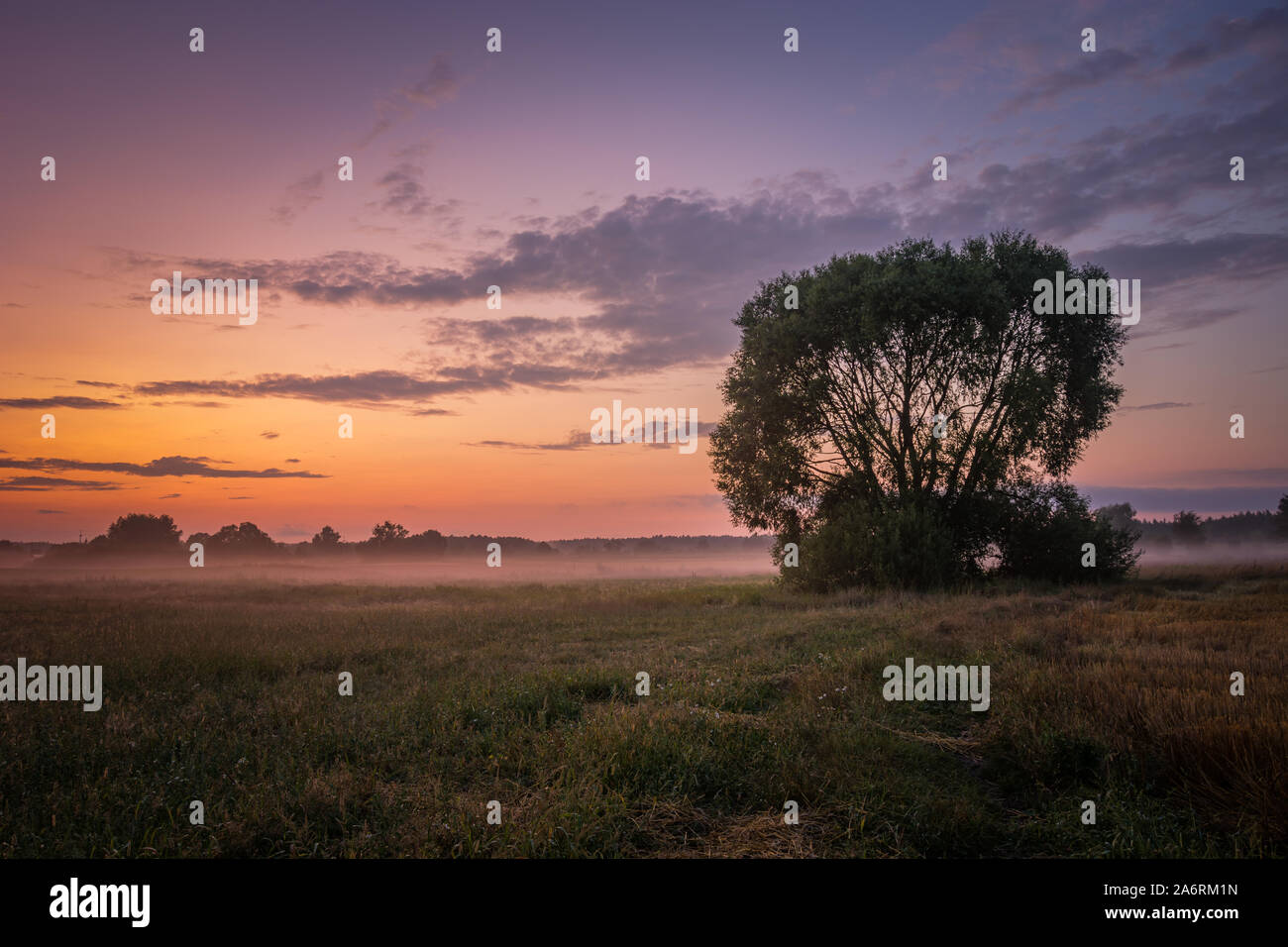 Big tree sunset beautiful sunset hi-res stock photography and images ...