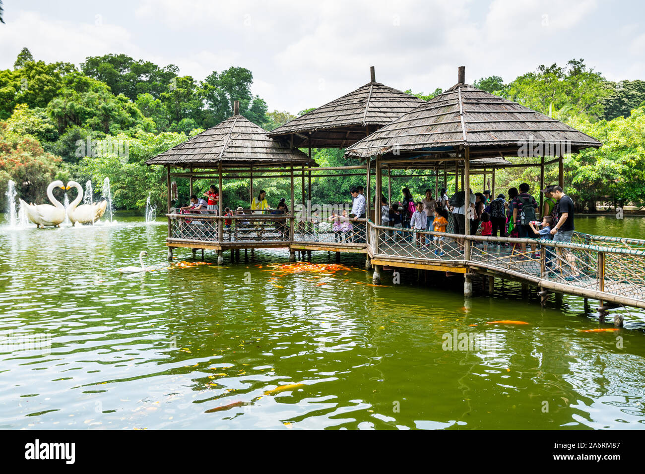Tourist in the wooden pavilion in the lake in Shenzhen wildlife Zoo ...
