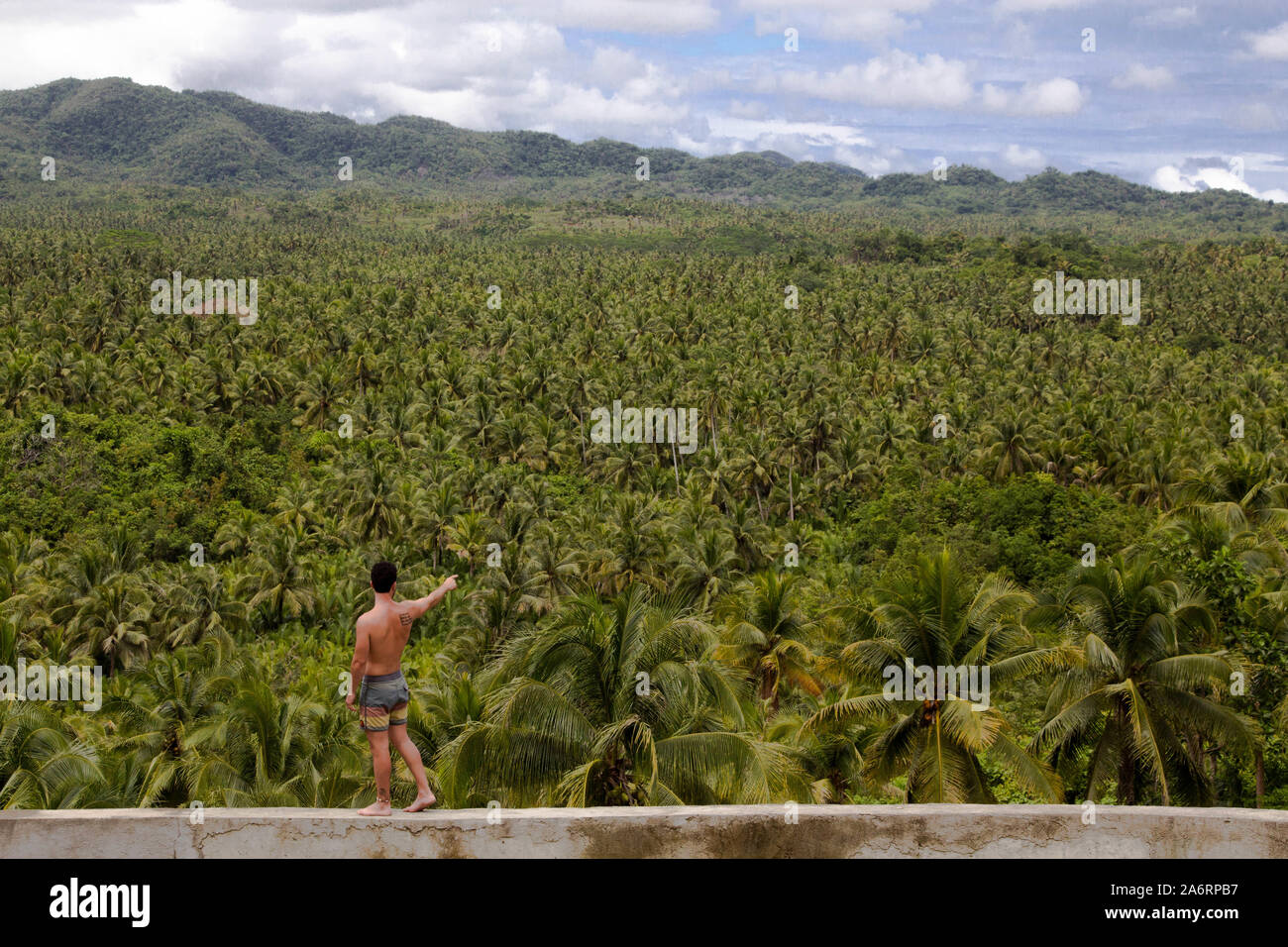 Coconut plantation philippines hi-res stock photography and images - Alamy