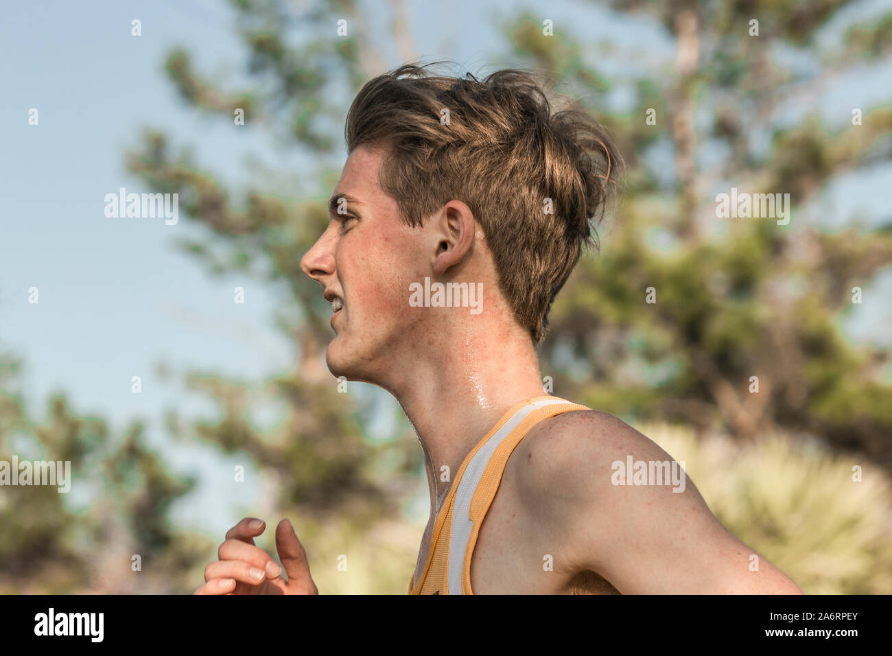 Close-up of Caucasian teen male cross country runner sweating in race ...