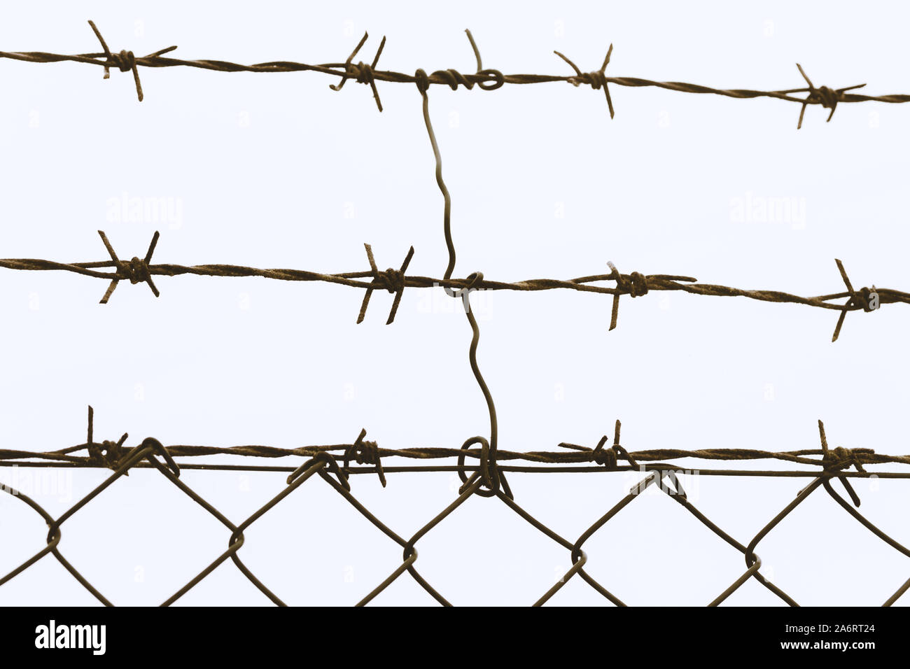 Close-up of barbed wire, isolated on white background Stock Photo - Alamy