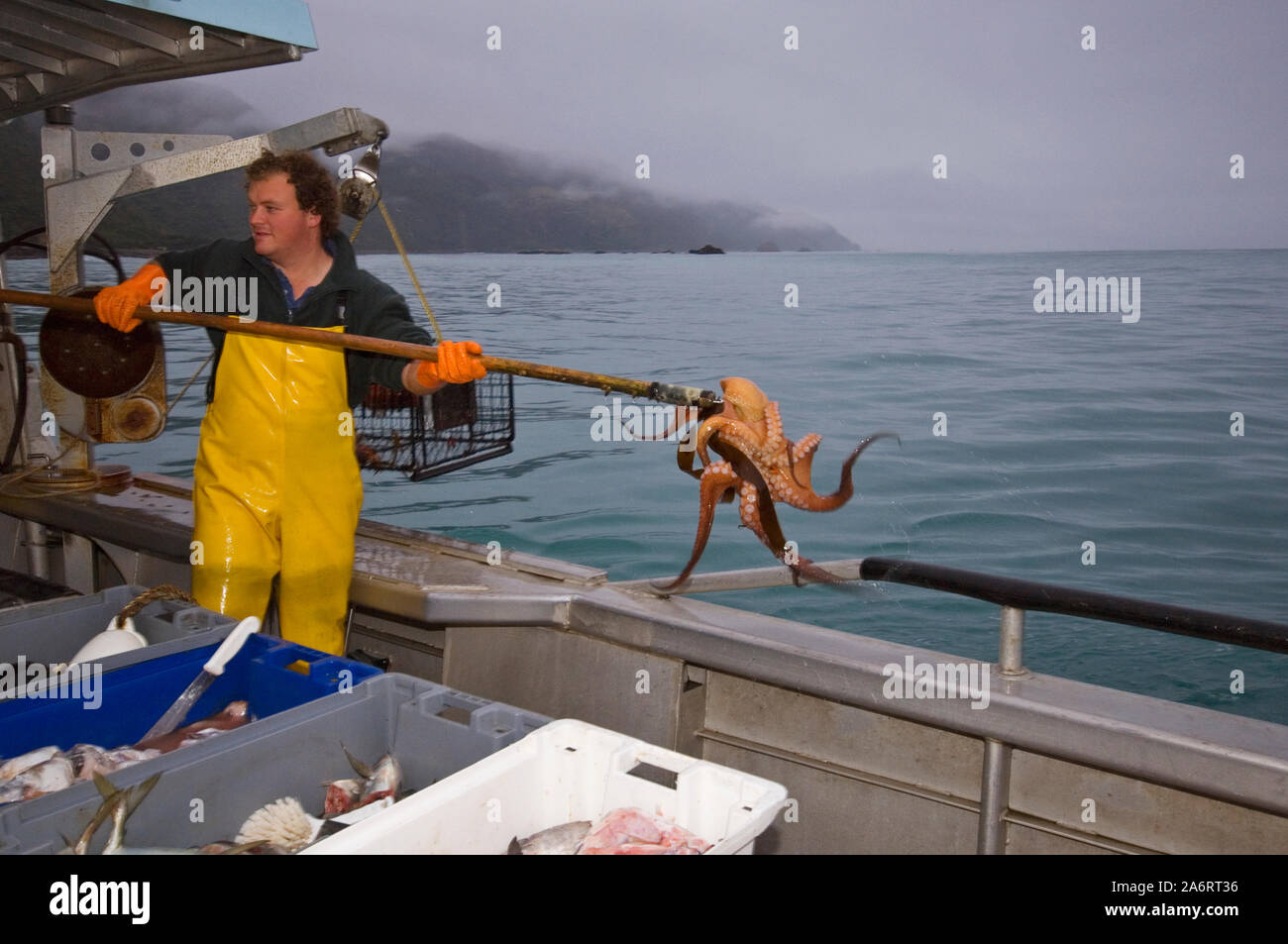 Crayfishing boat Mystique operating out of South Bay, Kaikoura, New ...