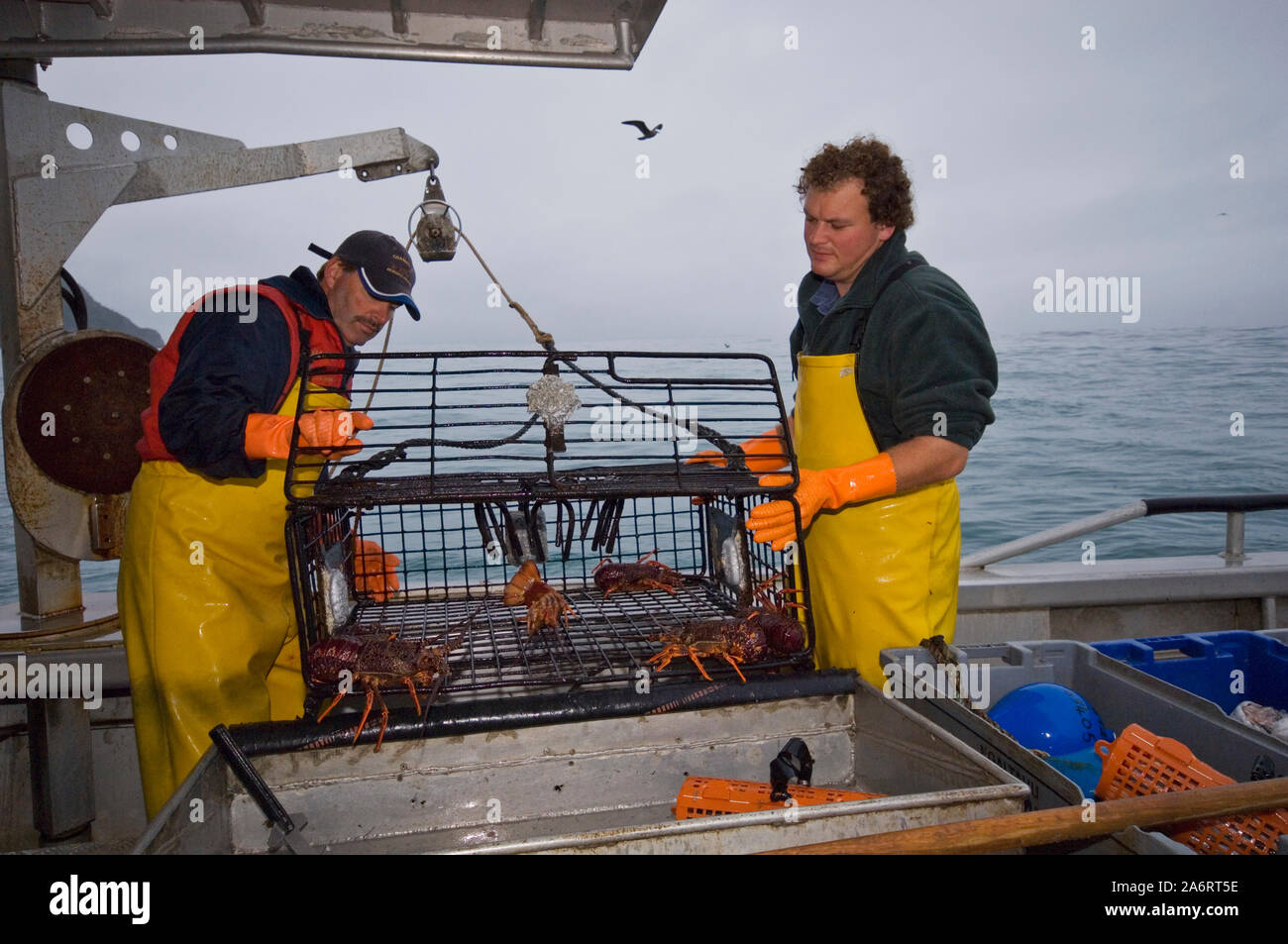 Crayfishing boat hi-res stock photography and images - Alamy