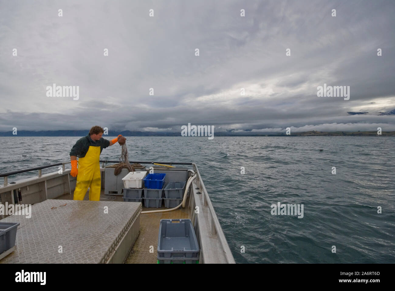 Crayfishing boat Mystique operating out of South Bay, Kaikoura, New ...