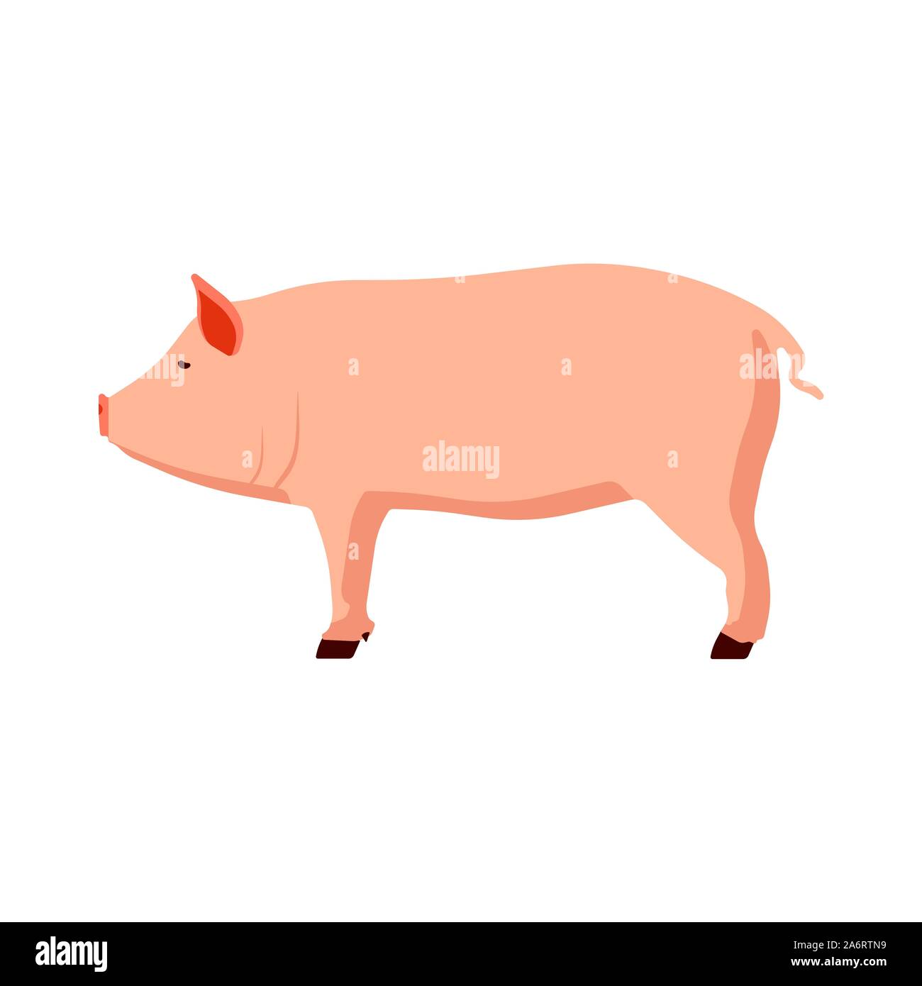 Animal pink pig vector illustration side view cartoon design. Cute art ...