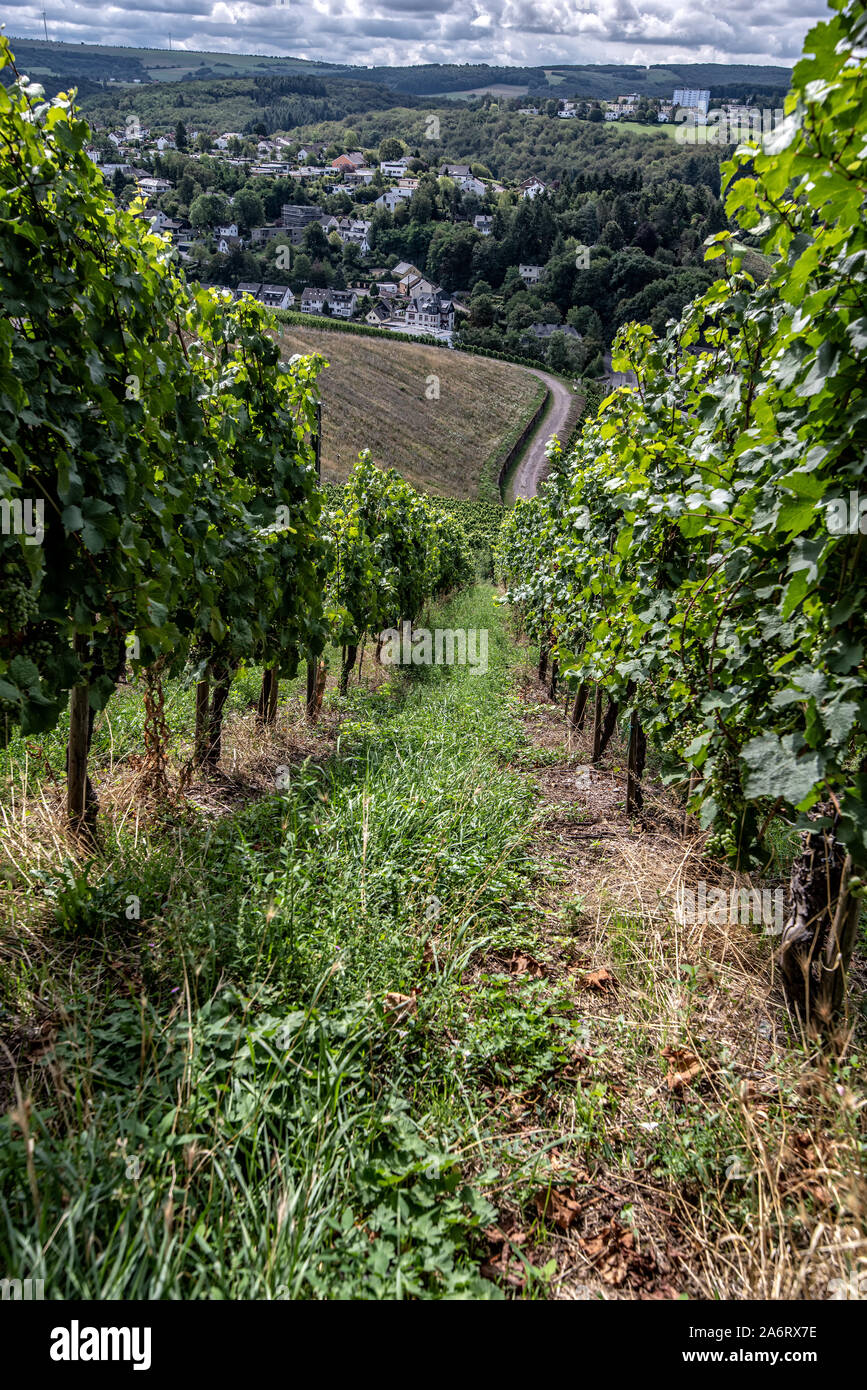 Wingert hi-res stock photography and images - Alamy