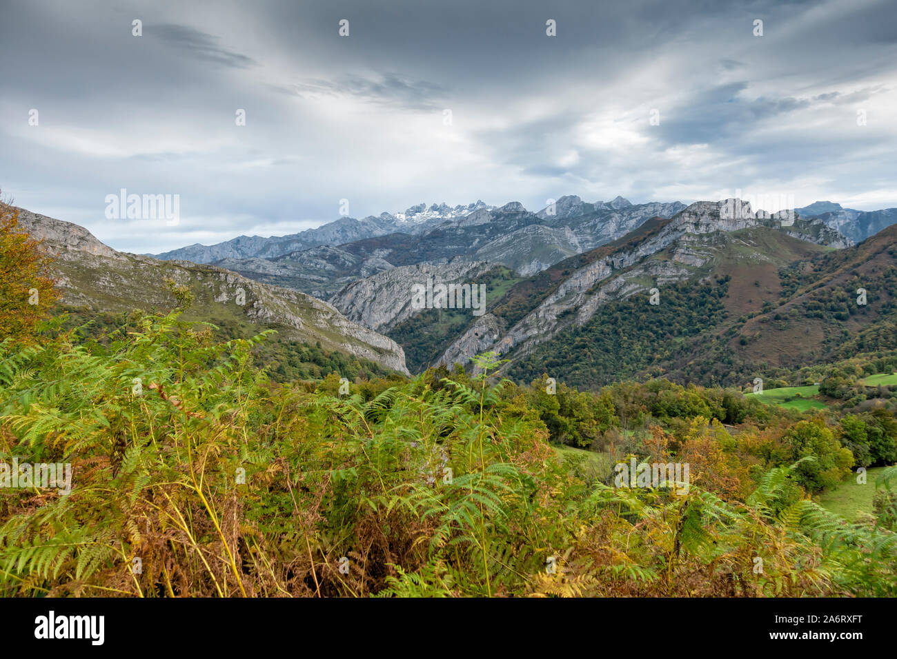 Ponga national park asturias hi-res stock photography and images - Alamy
