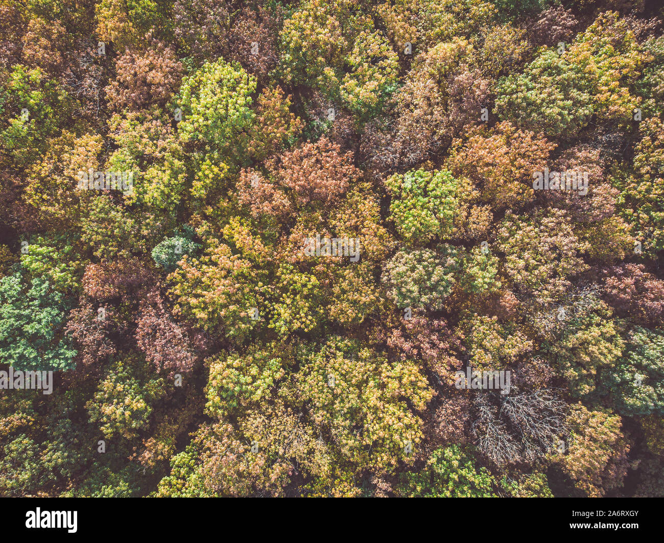 Top aerial view park people hi-res stock photography and images - Alamy