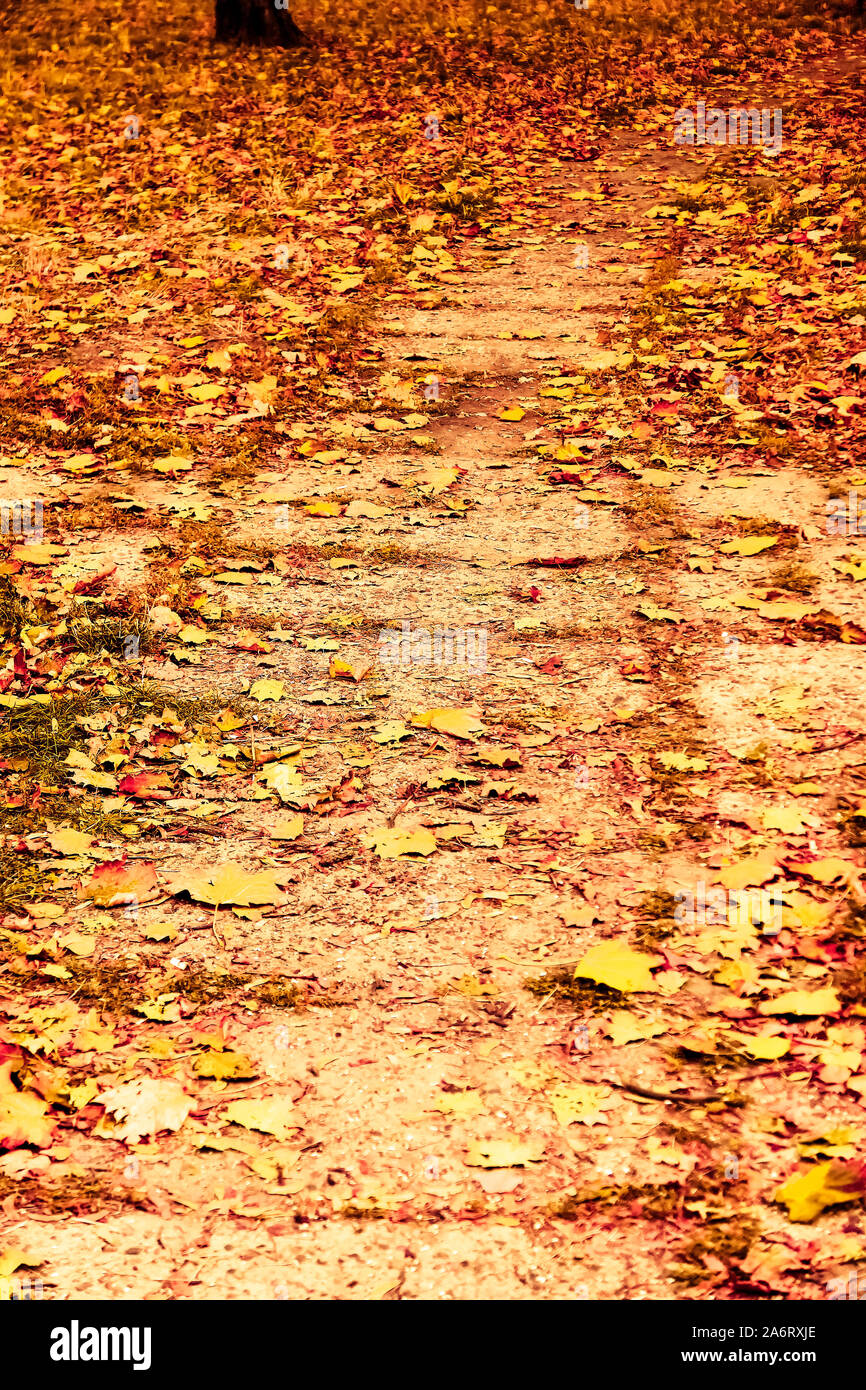 Seasonal travel, retro backdrop and rural environment concept ...