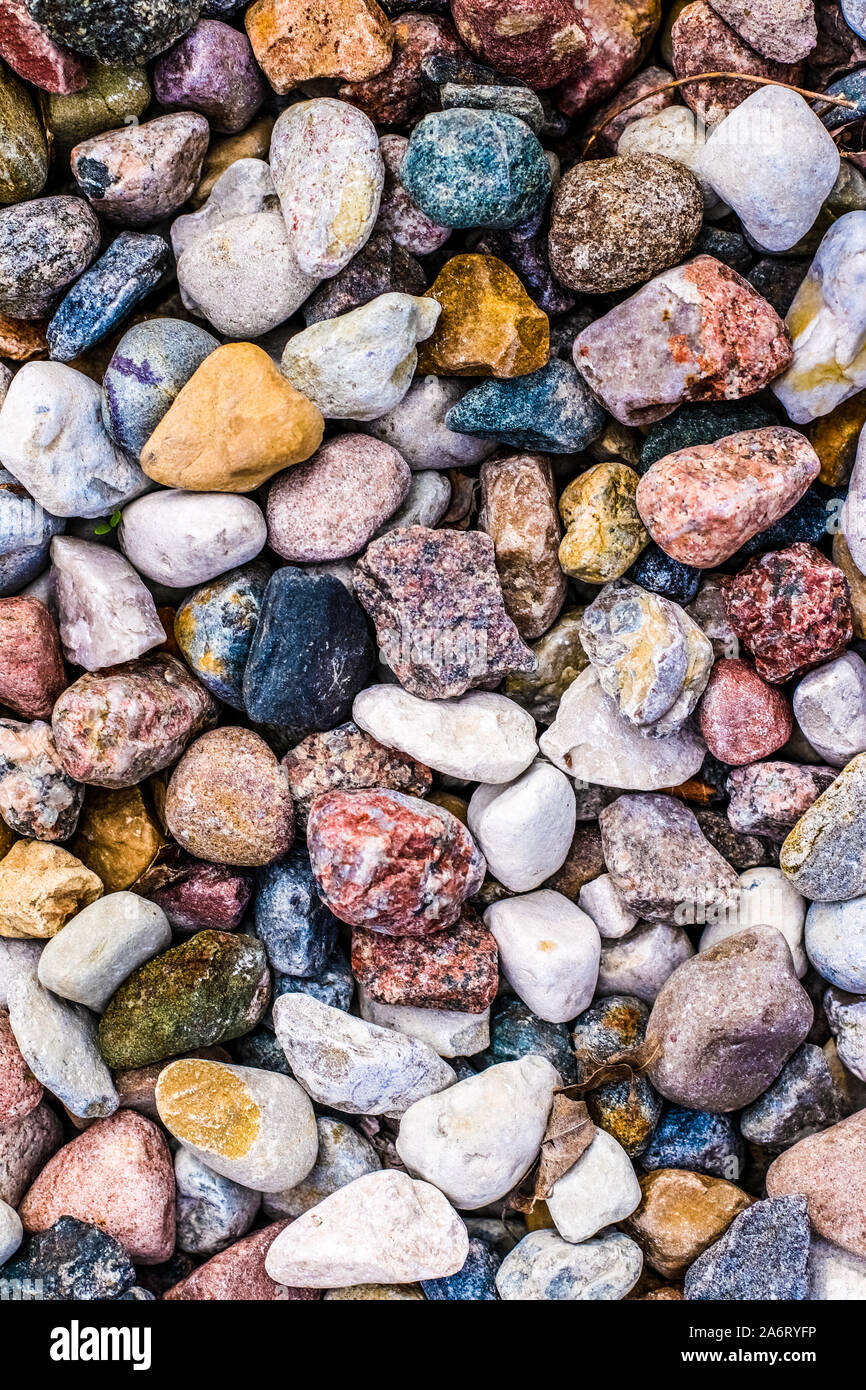 Landscape architecture, interior design and nature elements concept ...