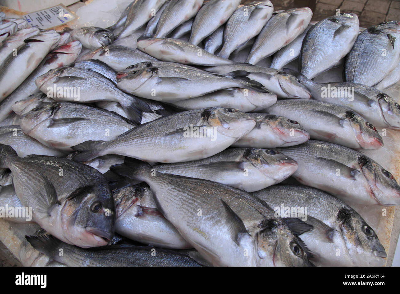 Croatia, Split, fish market, fish Stock Photo - Alamy