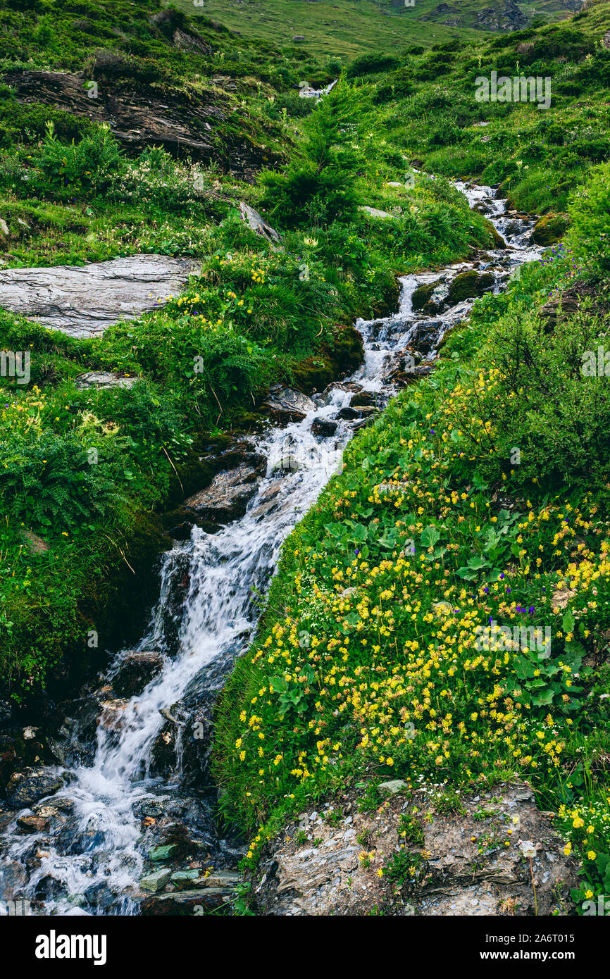 A small water stream coming down the mountain between green pastures ...