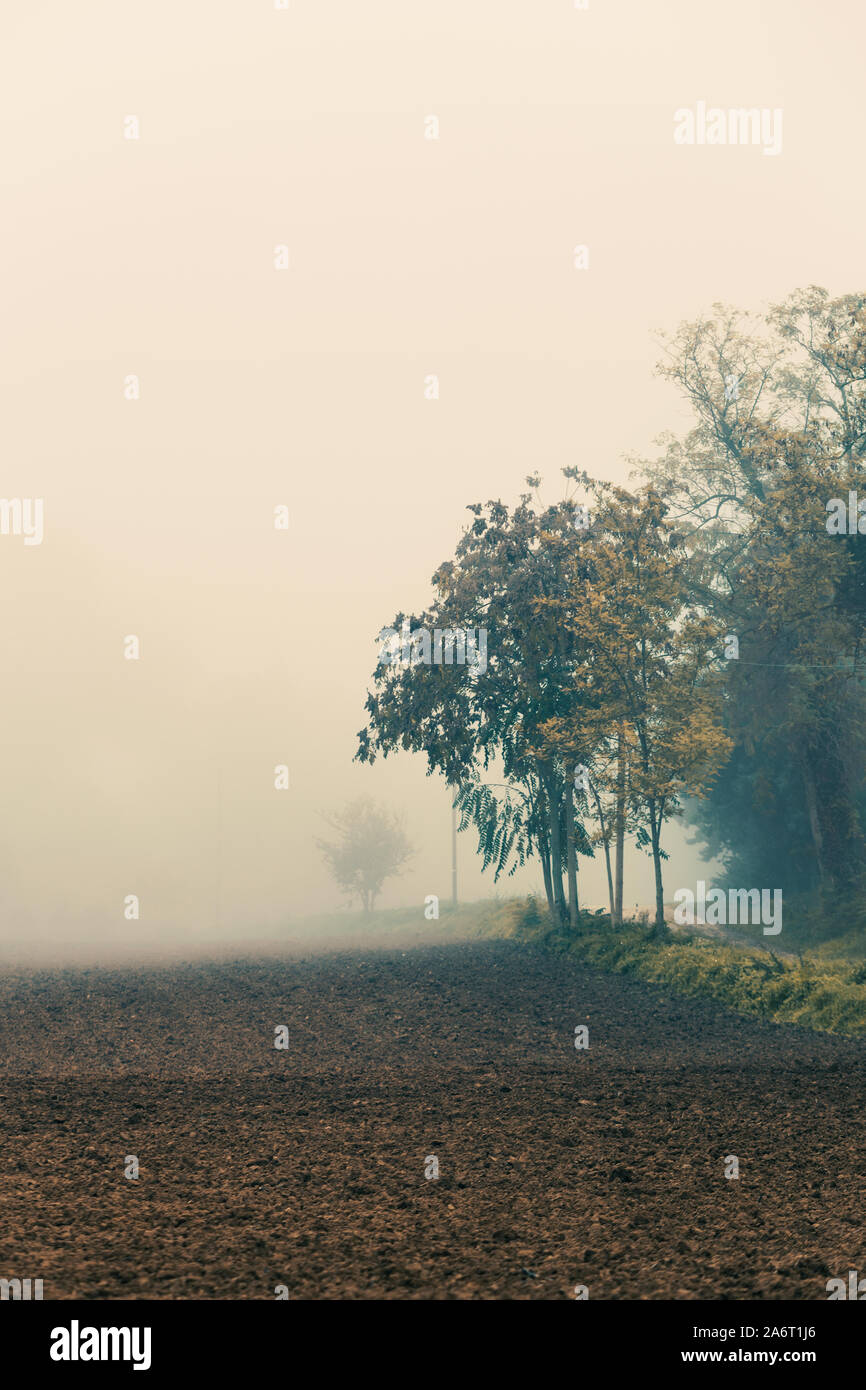 Countryside autumn landscape, trees in a foggy day, natural background ...