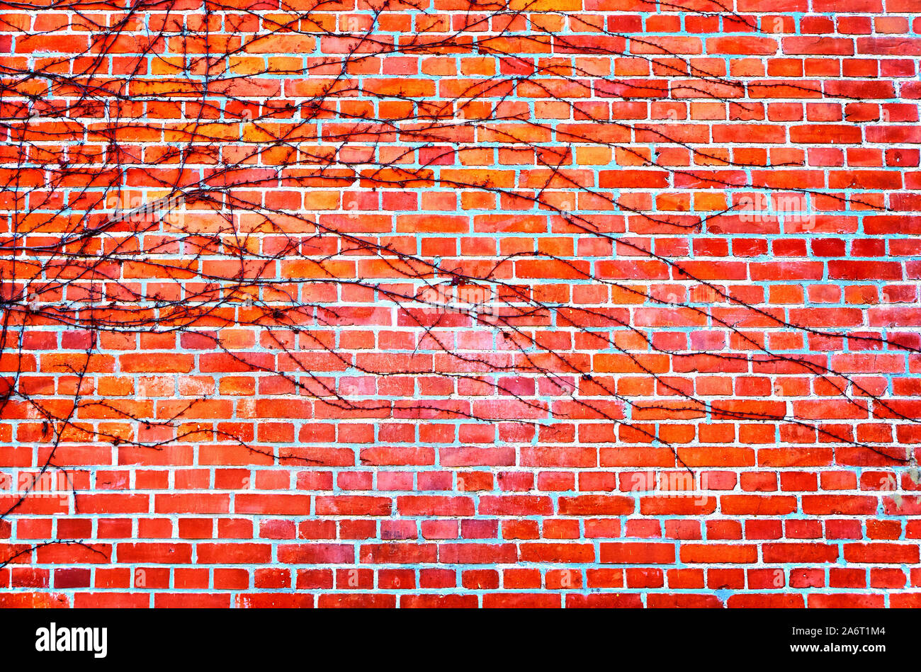 Brick wall background with autumn leaves Stock Photo - Alamy
