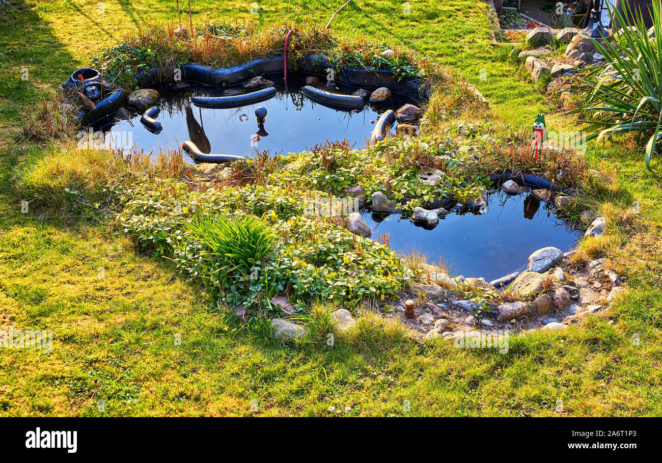 Pond in landscape design in a small garden as nature background Stock ...