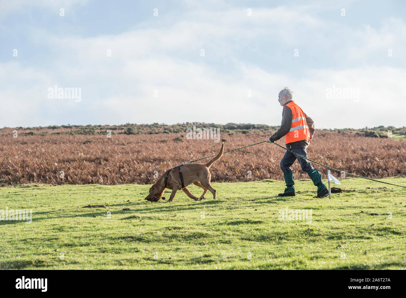 Hunting dartmoor hi-res stock photography and images - Alamy
