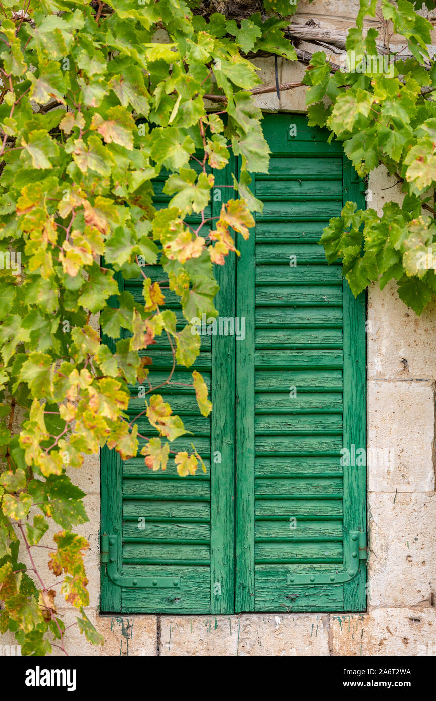 closed wooden window, covered with autumn leaves Stock Photo - Alamy