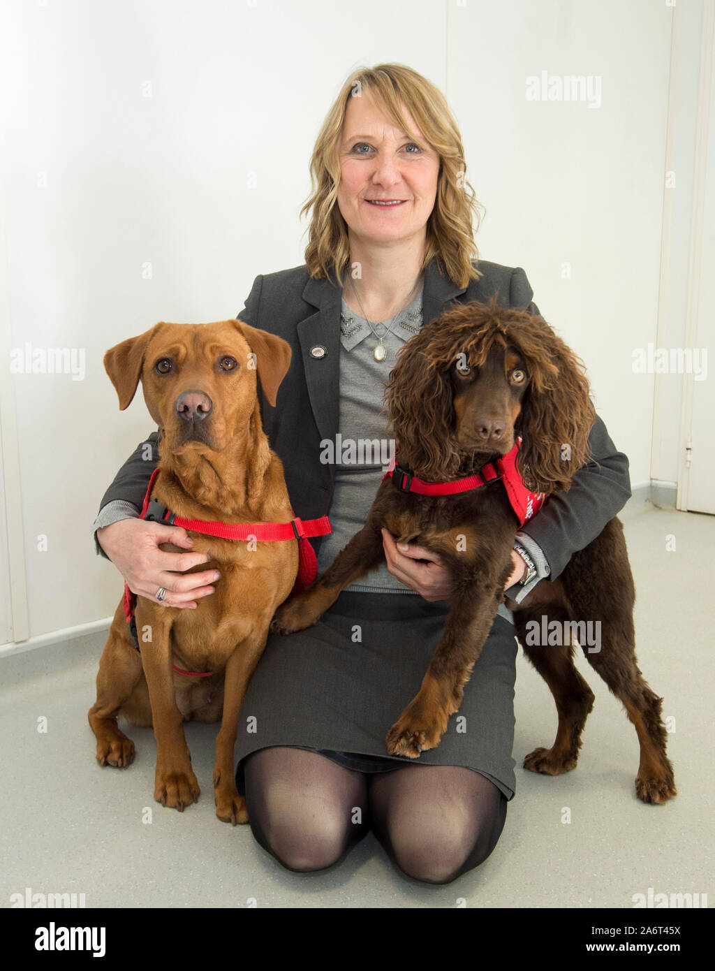 Claire Guest who runs the Cancer detection dog centre in Milton Keynes with cocker spaniel ...