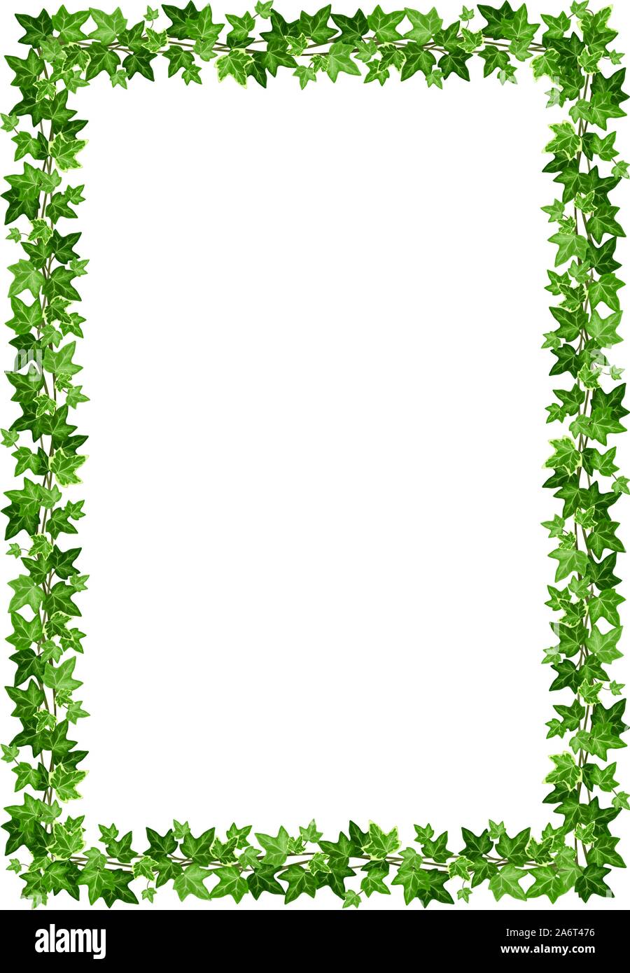 Vector background frame with green ivy leaves on a white background ...