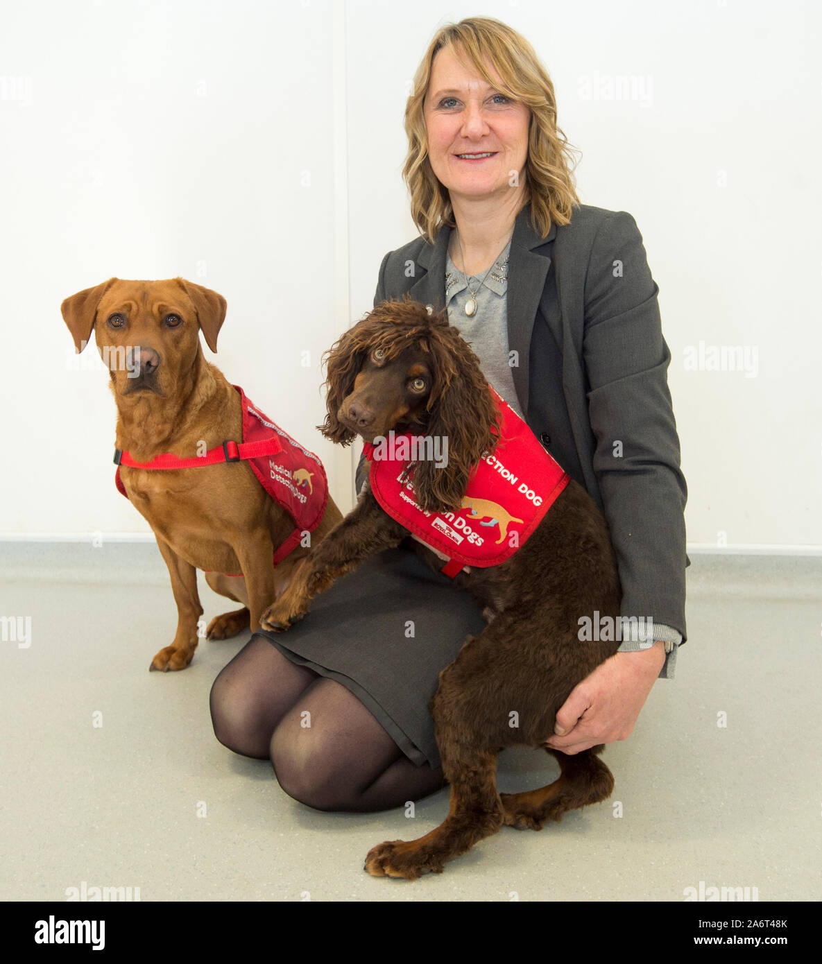 Claire Guest who runs the Cancer detection dog centre in Milton Keynes with cocker spaniel ...