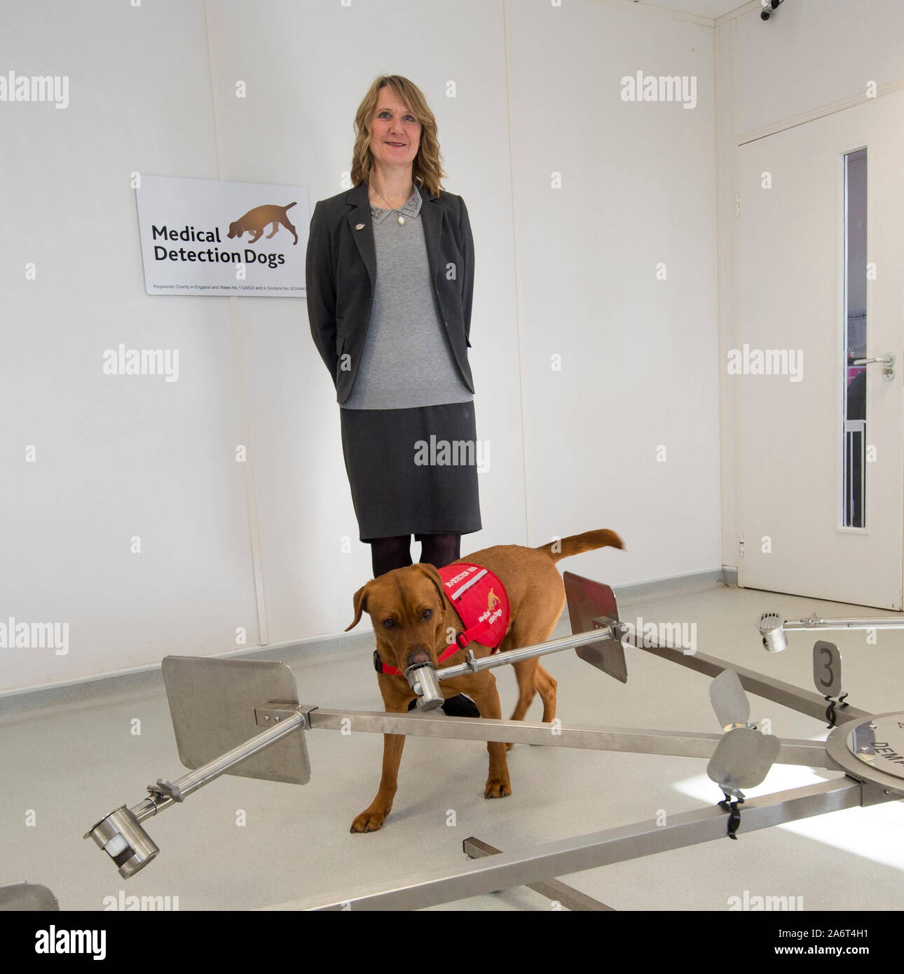 Claire Guest who runs the Cancer detection dog centre in Milton Keynes ...