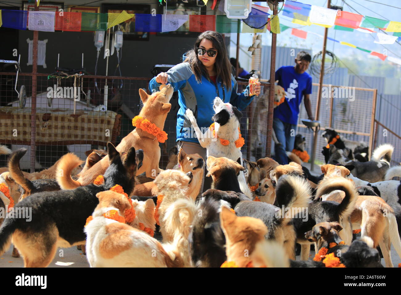 Kukur tihar hi-res stock photography and images - Alamy