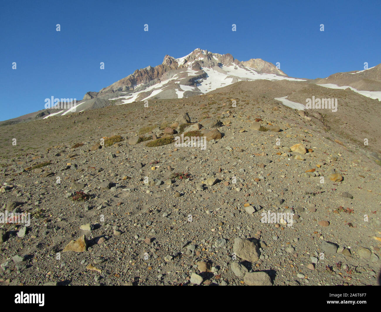 Mt hood summer adventure park hi-res stock photography and images - Alamy