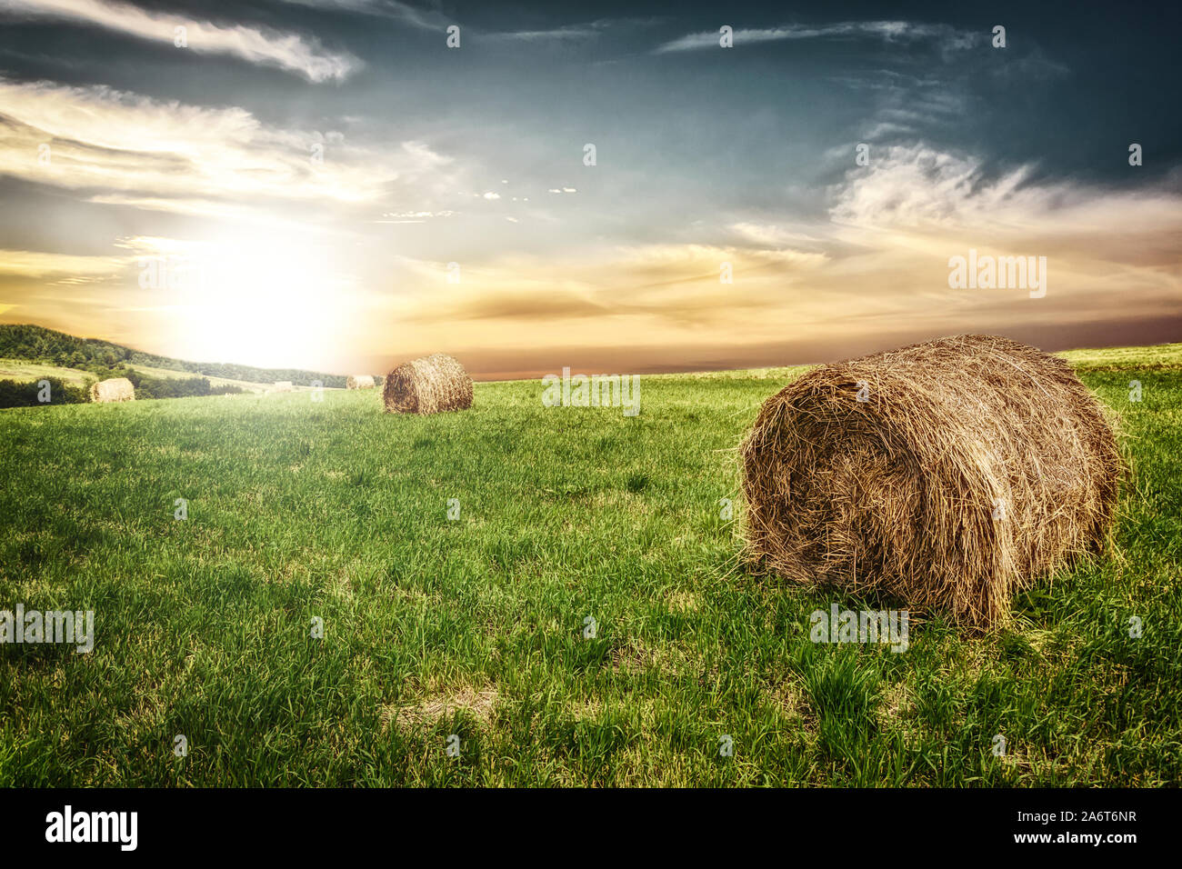 Sunlight countryside country farming farm fields field natural nature ...