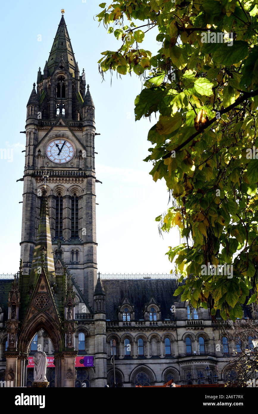 Maanchester town hall and trees hi-res stock photography and images - Alamy
