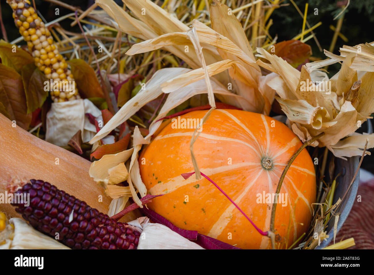 Beautiful pumpkin and fall foliage decoration for Halloween Stock Photo ...