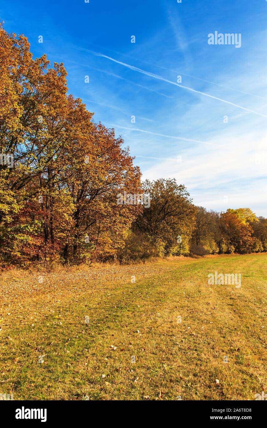 Sunny autumn day in Czech Republic. Colors of Autumn. A beautiful day ...