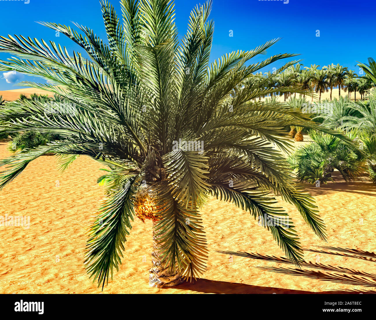 Beautiful natural background -African oasis Stock Photo - Alamy