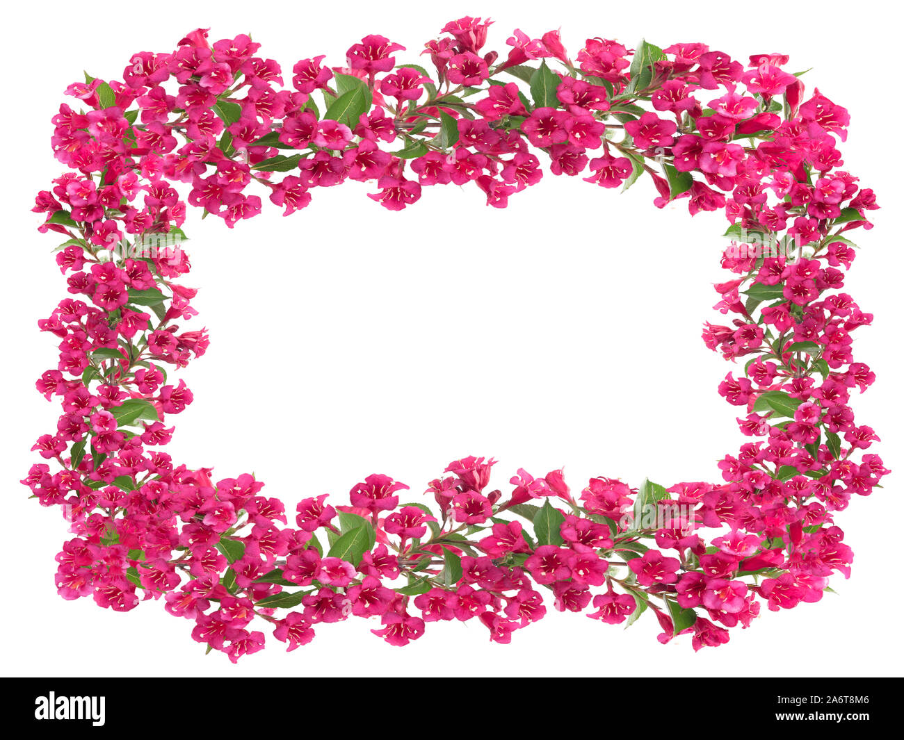 Composite image of beautiful blooming red flowers frame isolated on a ...