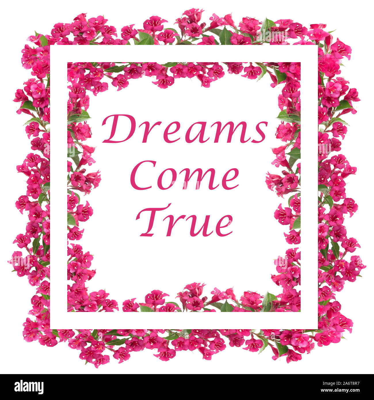 Dreams come true text in a beautiful blooming red flowers frame on a ...