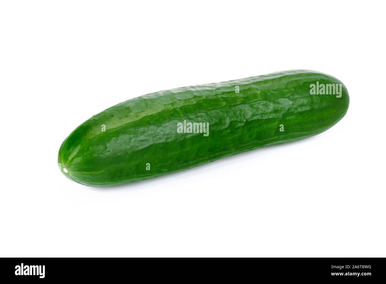 Single tasty fresh cucumber from organic farm isolated on a white ...