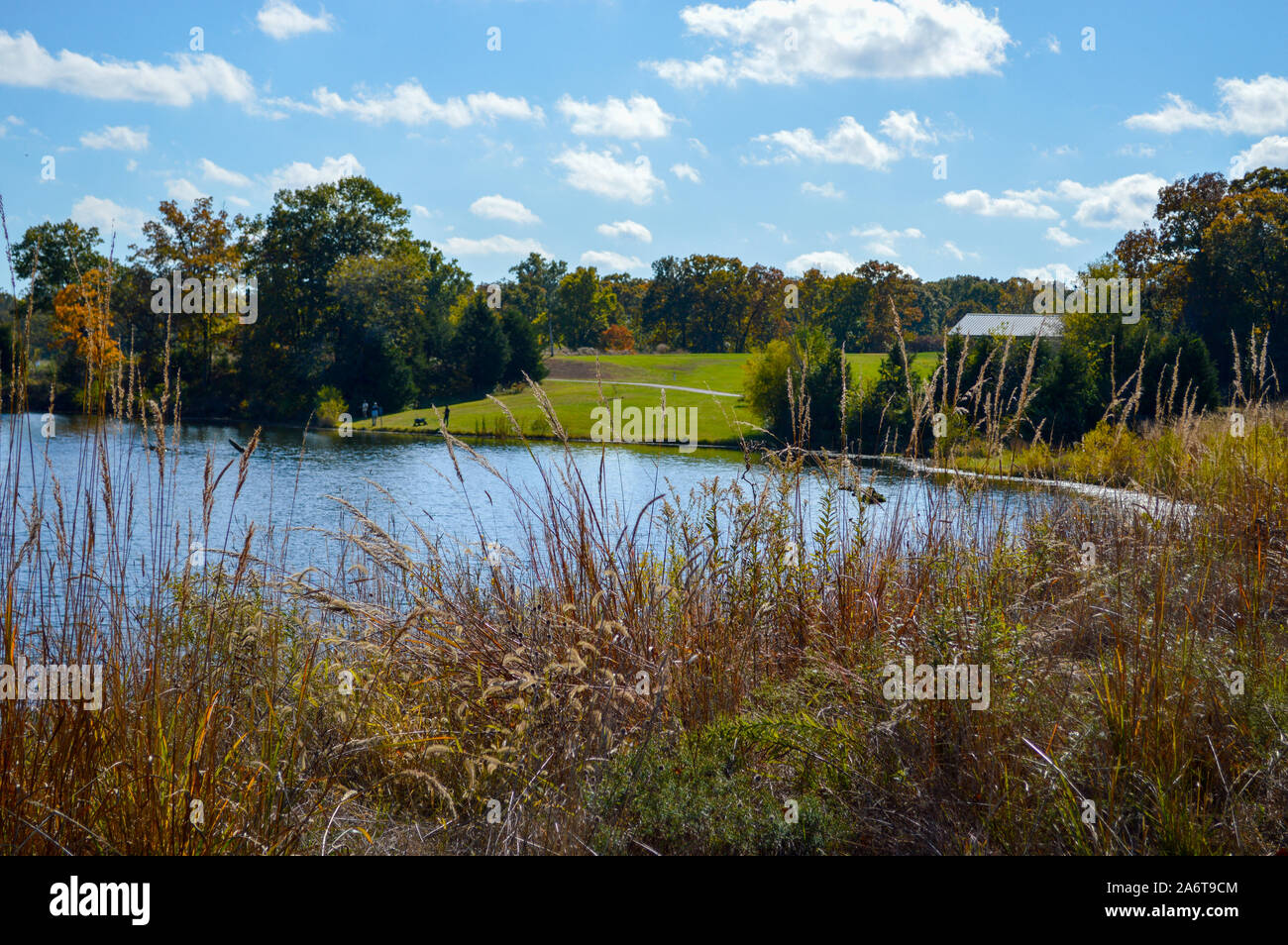 Fall fishing hi-res stock photography and images - Alamy