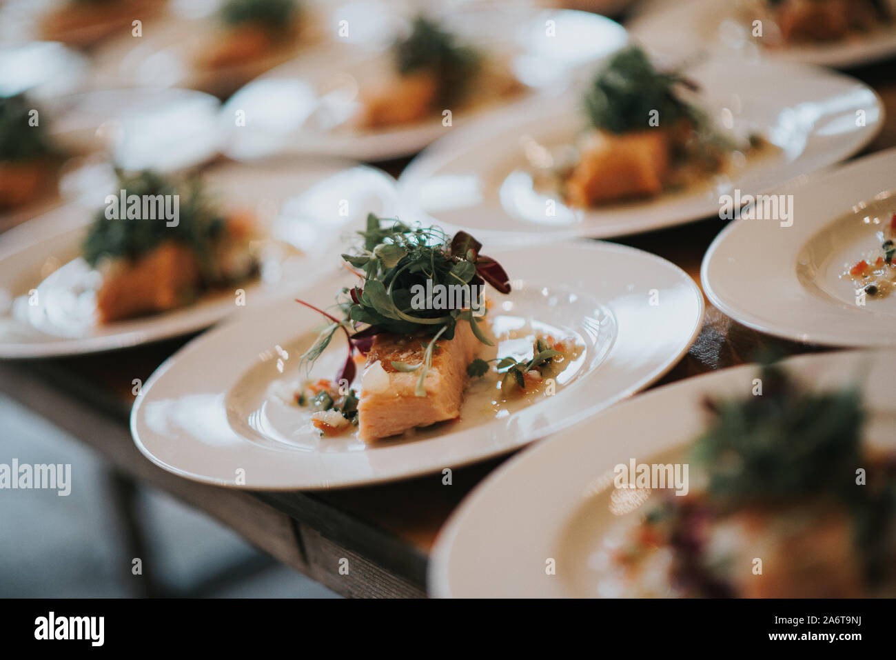 Salmon fillets on plates at a wedding Stock Photo - Alamy