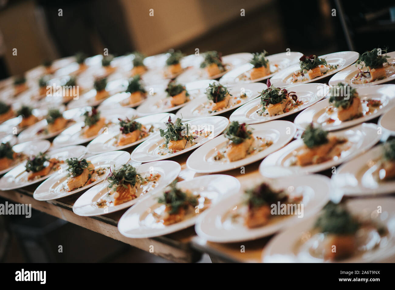 Salmon fillets on plates at a wedding Stock Photo - Alamy