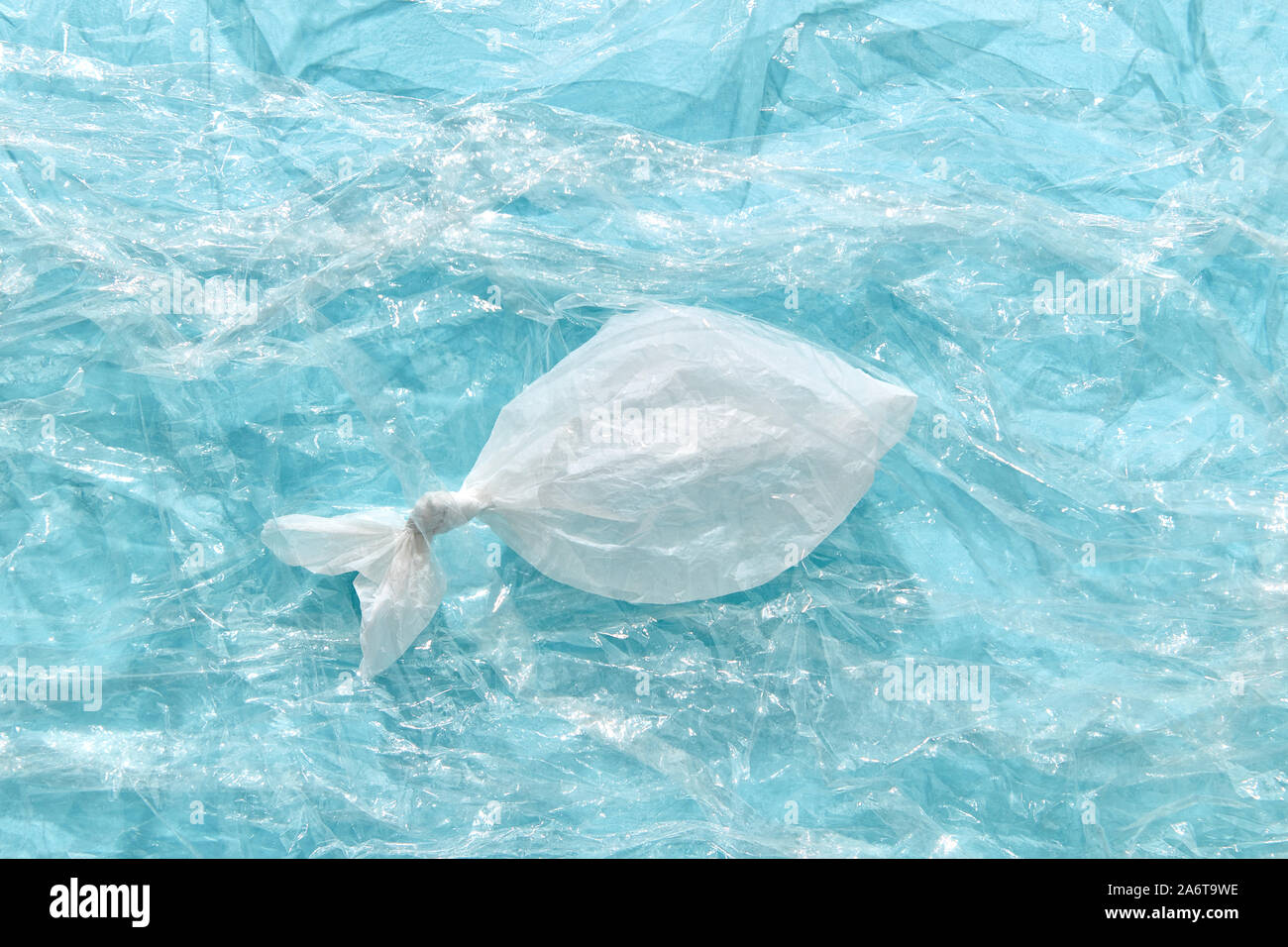 White plastic fish on a transparent polythene background with copy ...