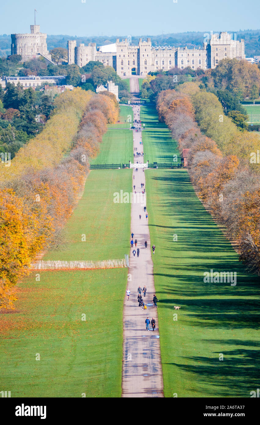 Windsor great park in berkshire hi-res stock photography and images - Alamy